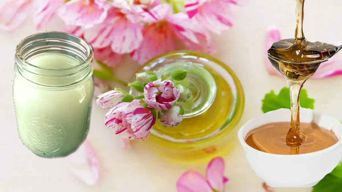 Shampoing naturel fait maison : 2 shampoings nutritifs