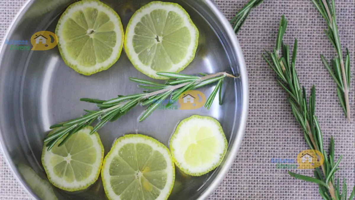 Comment Avoir Une Bonne Odeur Dans La Cuisine
