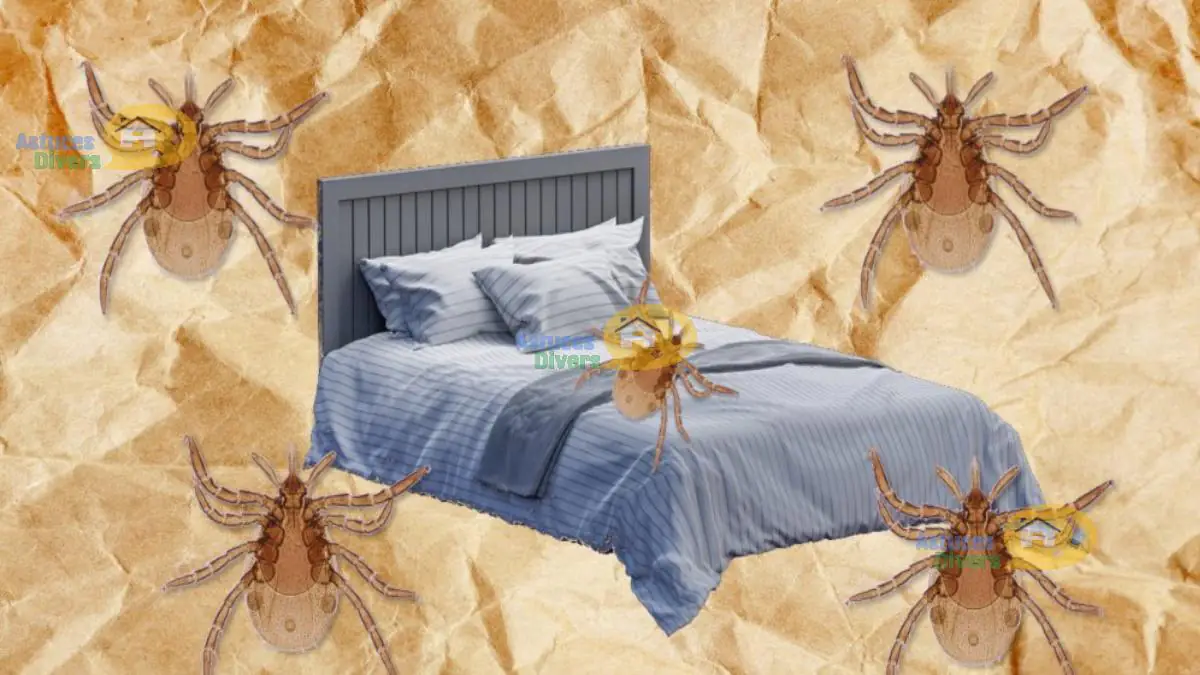 Combattre les Acariens avec 6 astuces